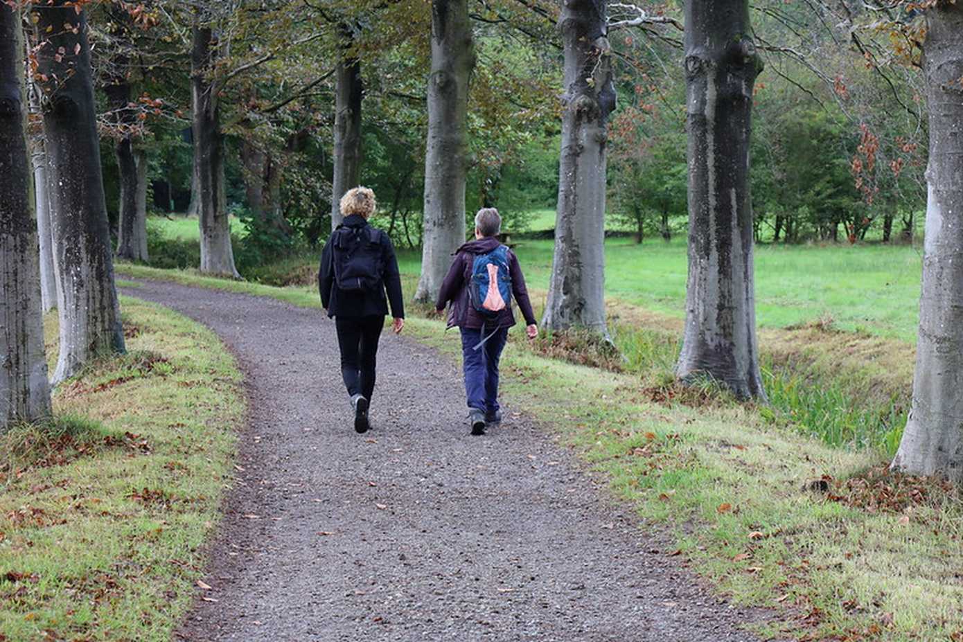 Assenaar (80) bekent betrokkenheid bij dood 72-jarige vrouw